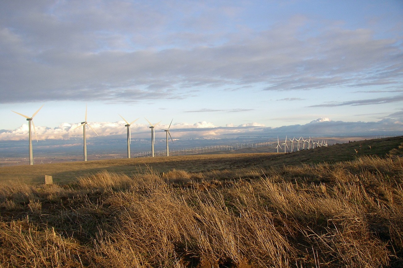 Greencoat Renewables ready for Nordic wind investment drive | Clean ...