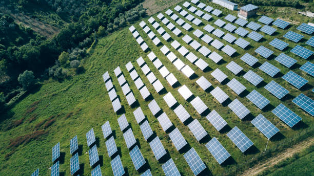 Pine Gate locks in $500 million loan from Fundamental Renewables ...