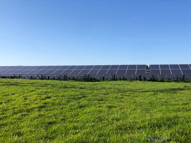 Bute Energy forges Welsh funding partnership with CIP | Clean Energy ...