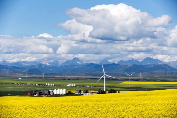 Capital Power pens Alberta wind PPA | Clean Energy Pipeline