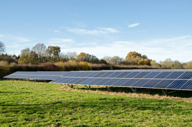 Amarenco, Bord Gáis Energy launch Irish solar partnership | Clean ...