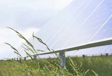 Renewable Connections celebrates solar project planning approval ...