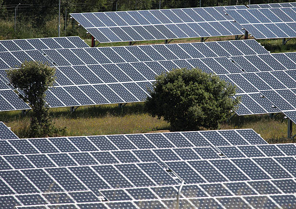 Glennmont enters construction-ready phase for Spanish solar portfolio ...