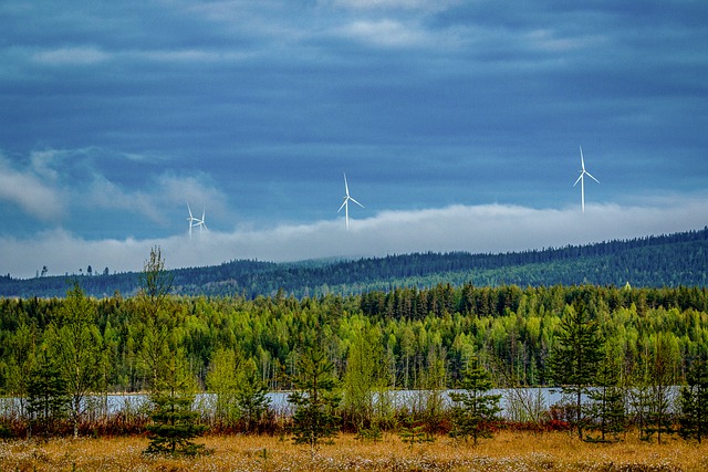 ORIX commits to maiden US wind project investment | Clean Energy Pipeline