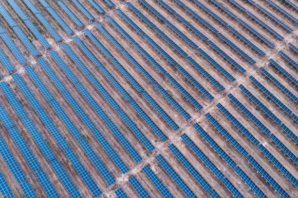 Amp Energy, Ohmium pursuing green hydrogen in India | Clean Energy Pipeline