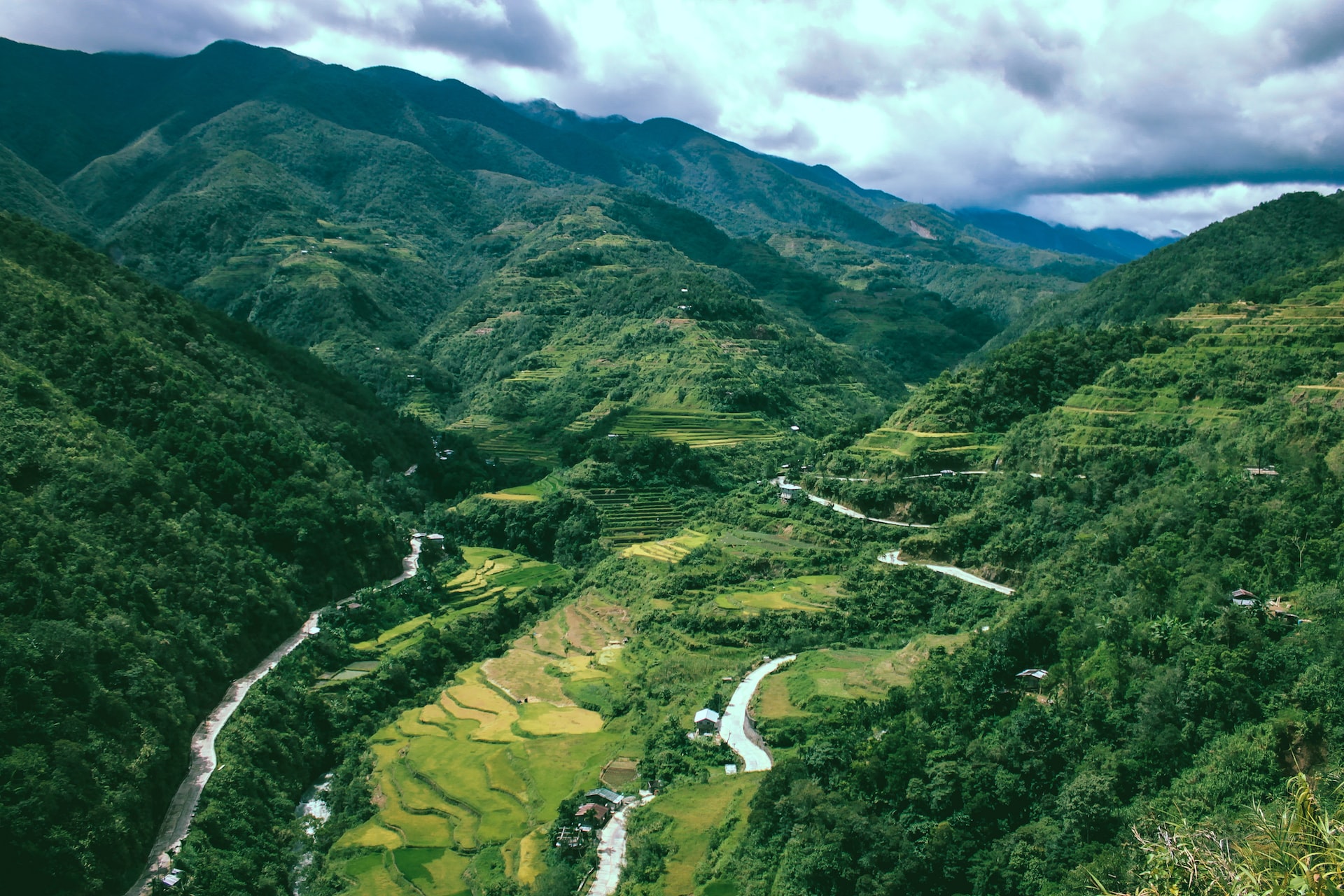 The Global EverGreening Alliance and Mirova launch one of the largest ... The Global EverGreening Alliance and Mirova launch one of the largest ...
