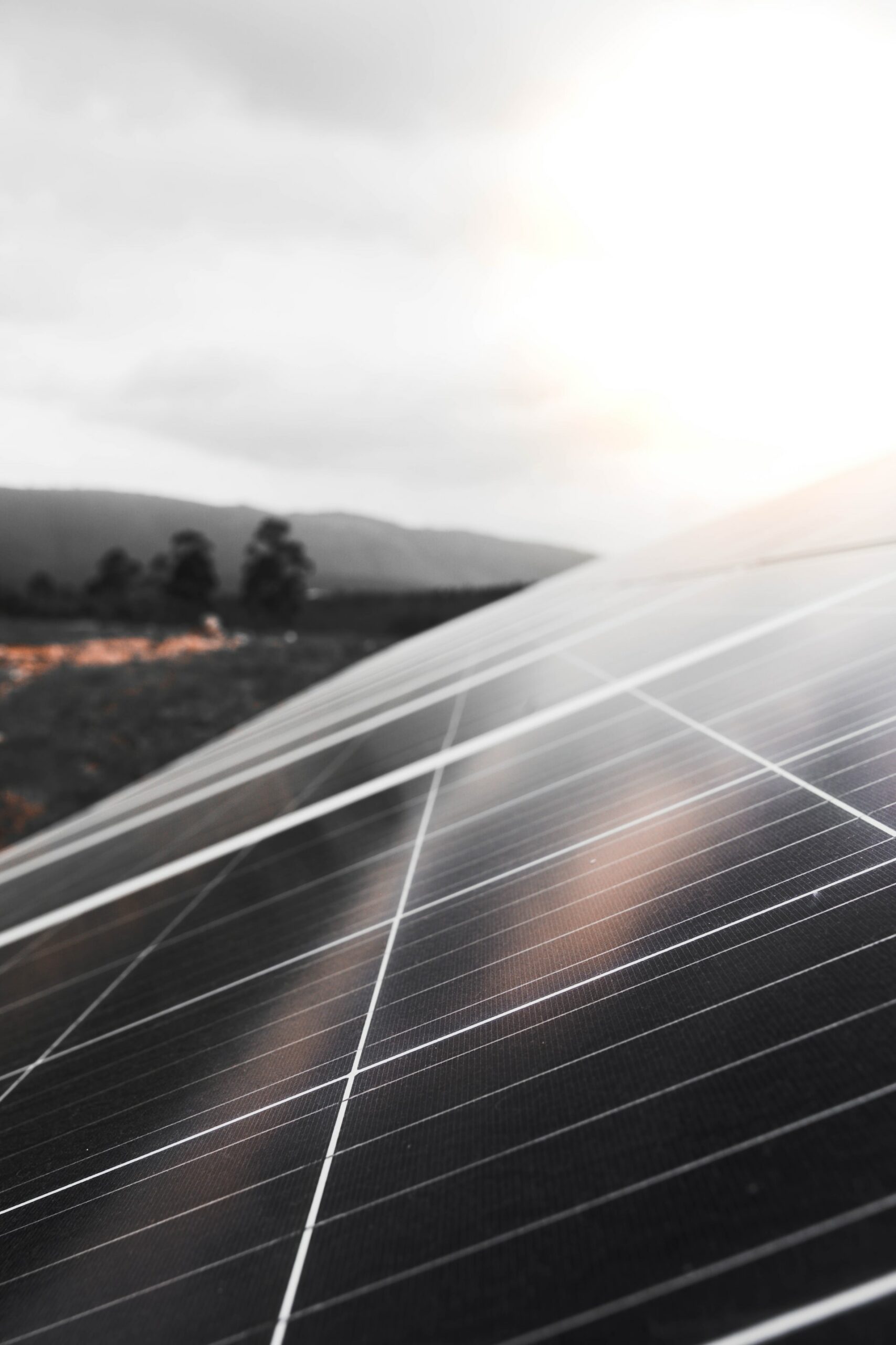 Better Energy signs solar PPA with COWI Denmark | Clean Energy Pipeline