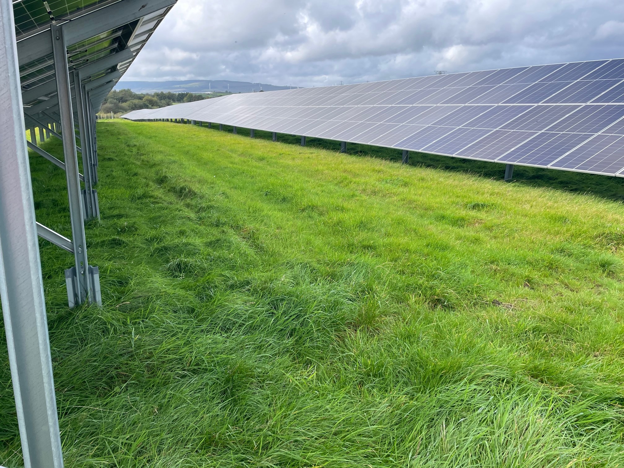 Enviromena submits plans for 40 MWac solar farm in the UK | Clean ...