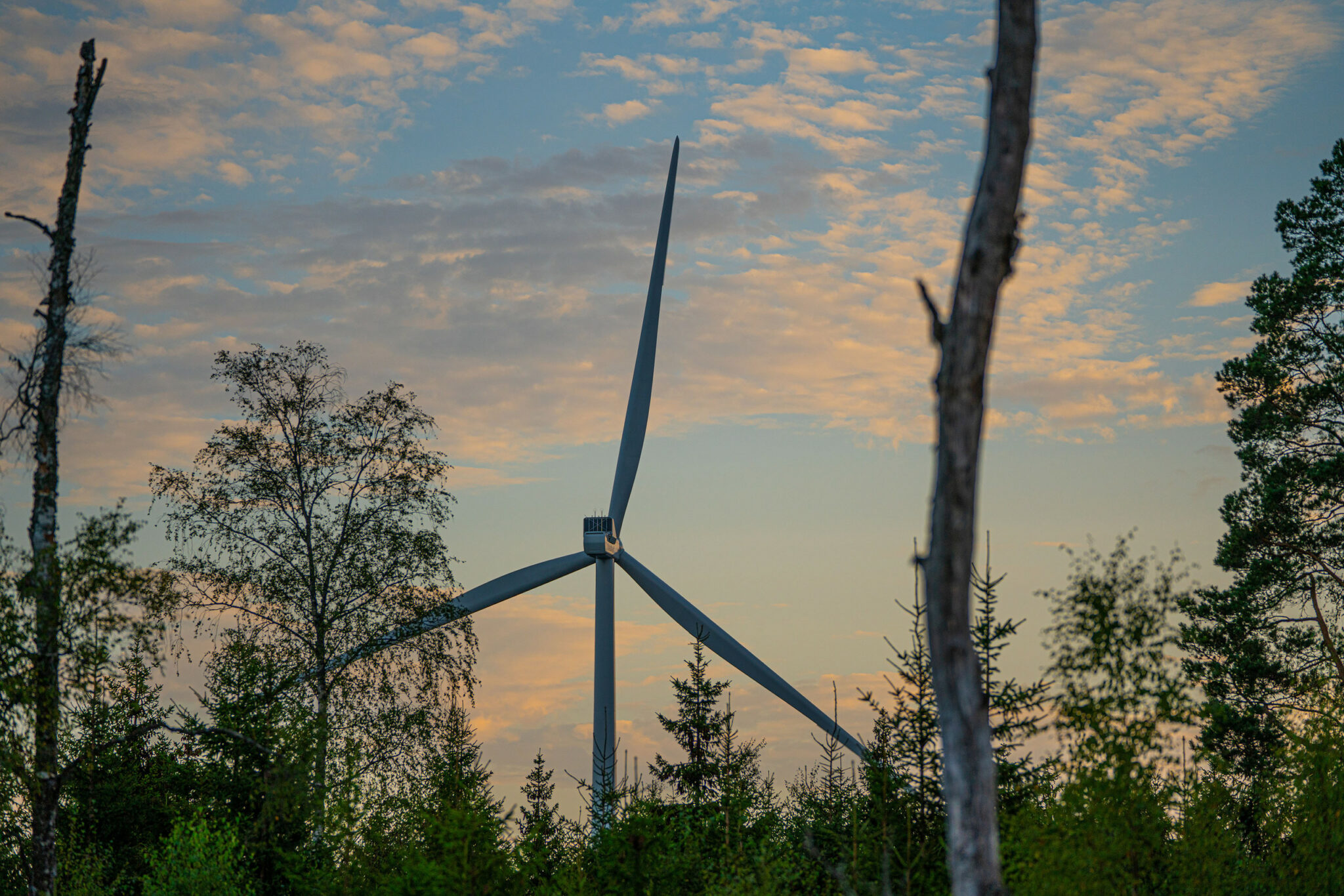 Eolus takes final investment decision on Swedish wind trio | Clean ...
