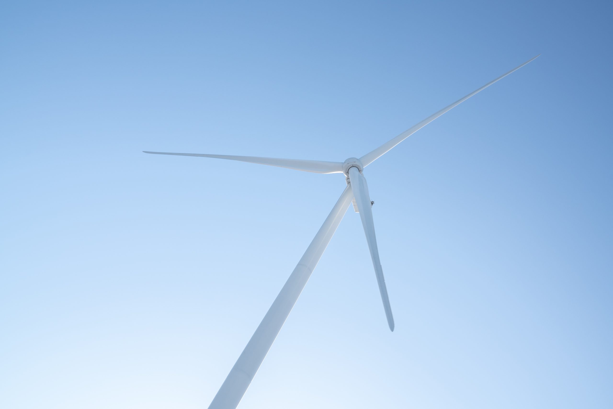 Ignitis Renewables switches on latest Polish wind farm | Clean Energy ...