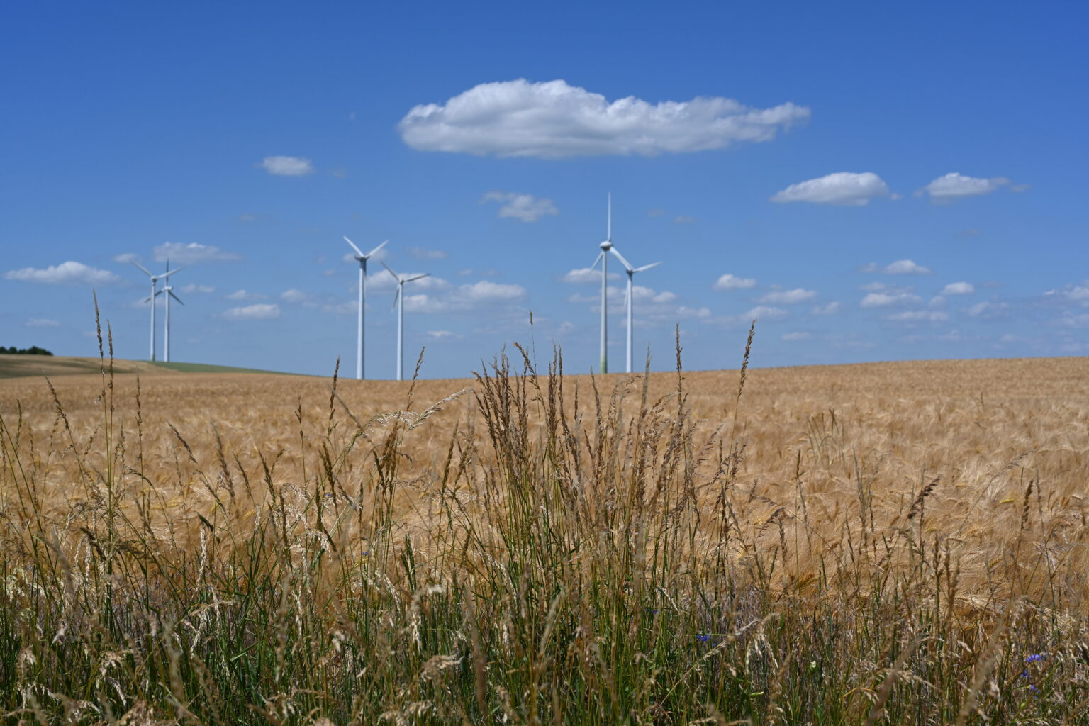 Qualitas Energy boosts project pipeline with German wind acquisition ...