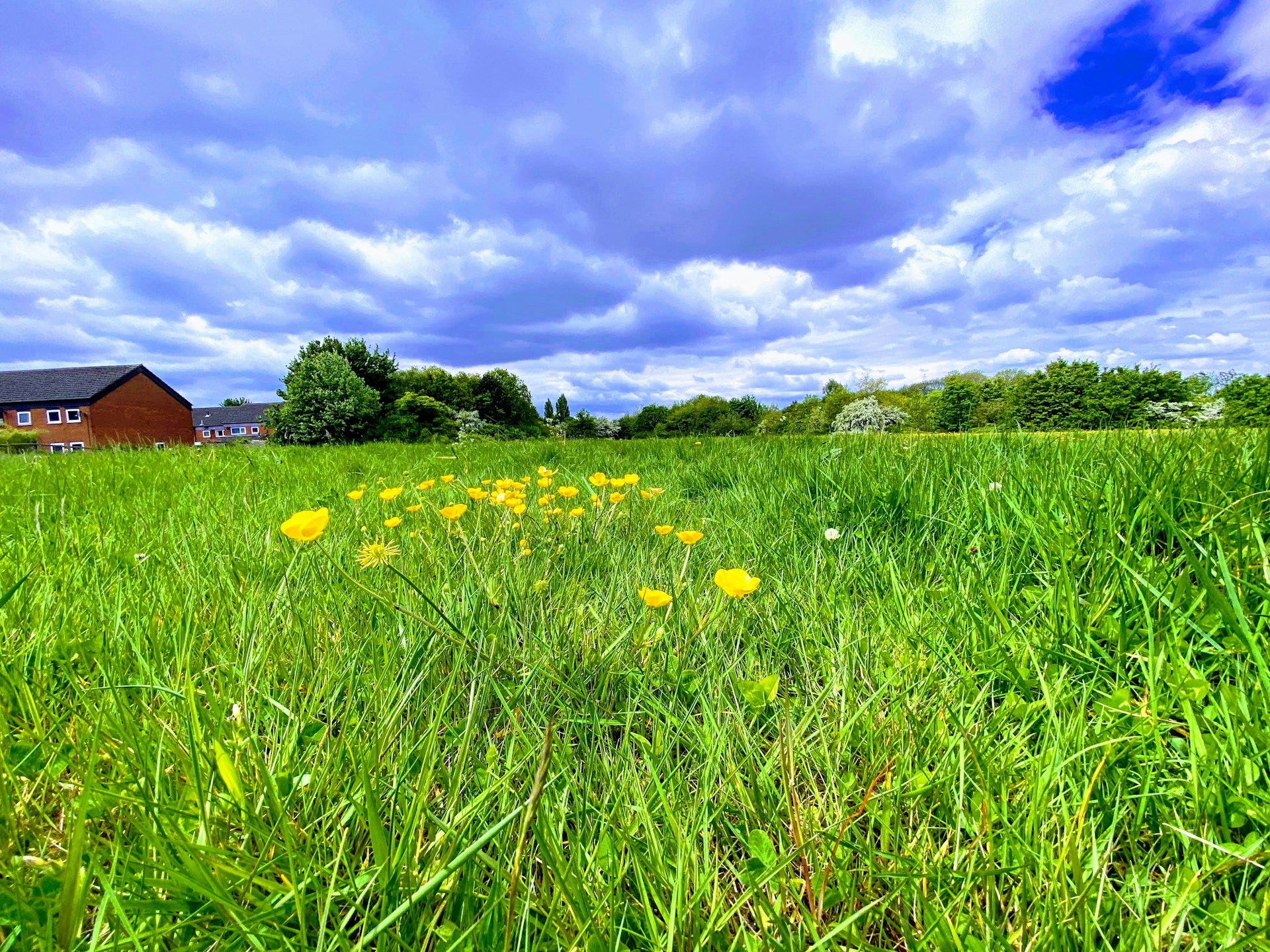 Pathfinder Clean Energy starts development work on 49.5 MW Goodrest ...