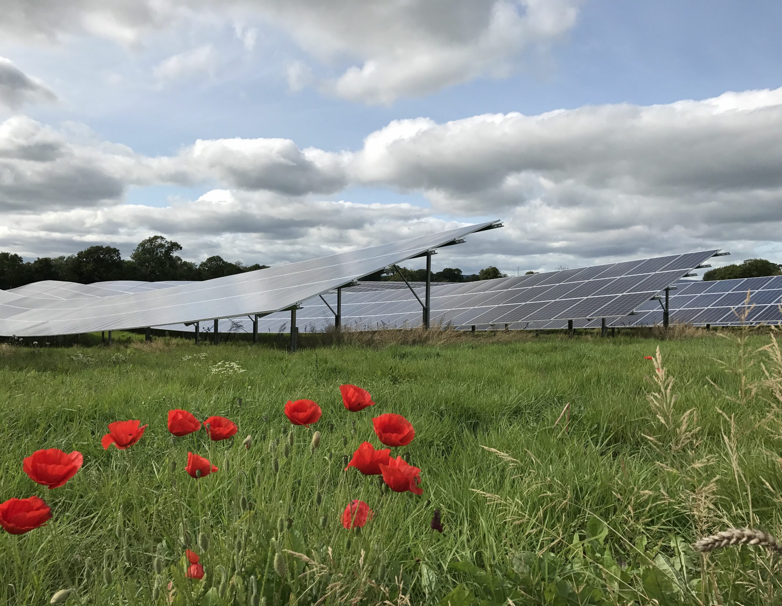 BayWa r.e. receives planning permission for Springmount Solar Farm in ...
