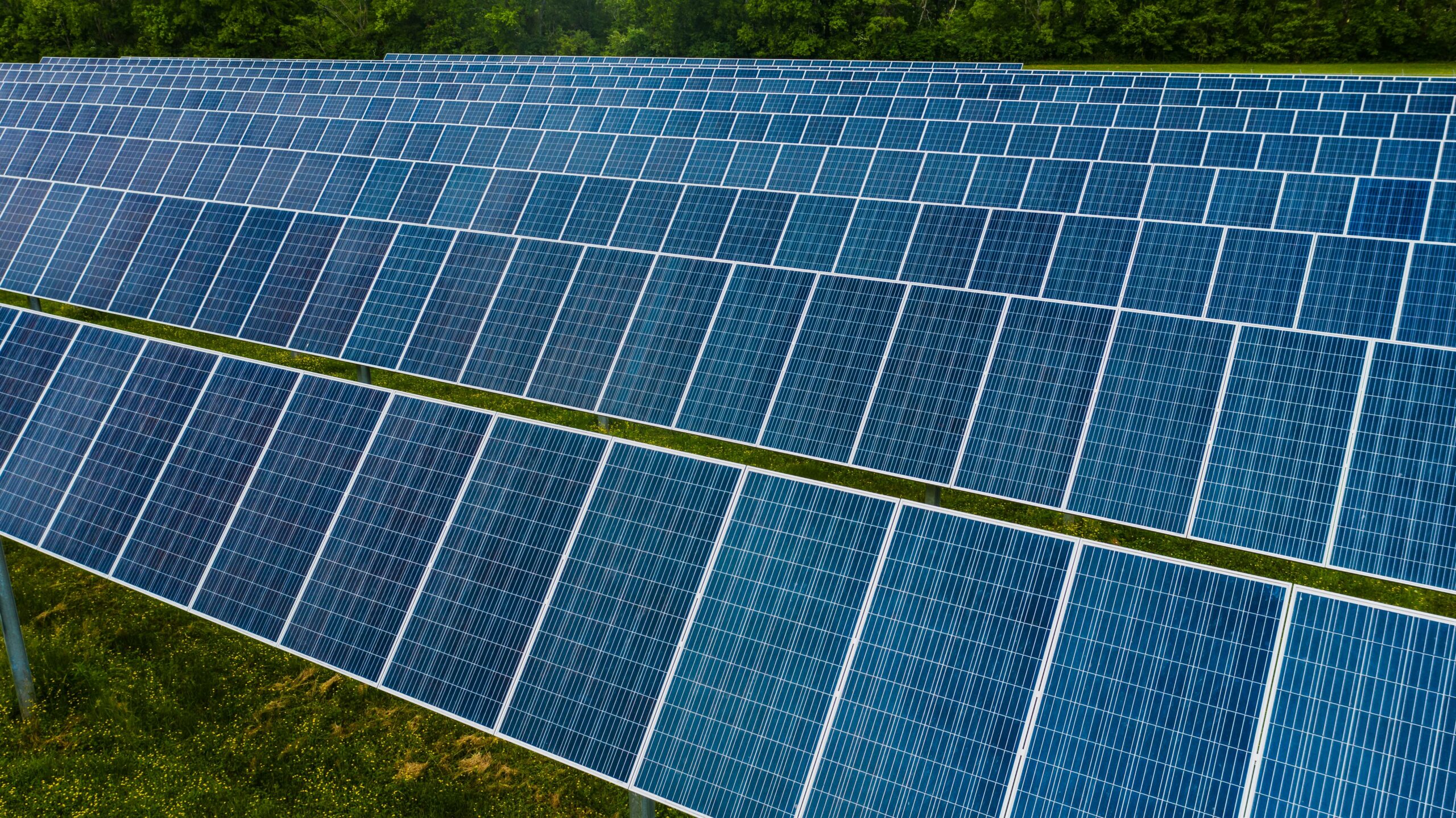 RATCH Group and Nexif Energy switch on 74 MW Calabanga solar project in the Philippines | Clean ...