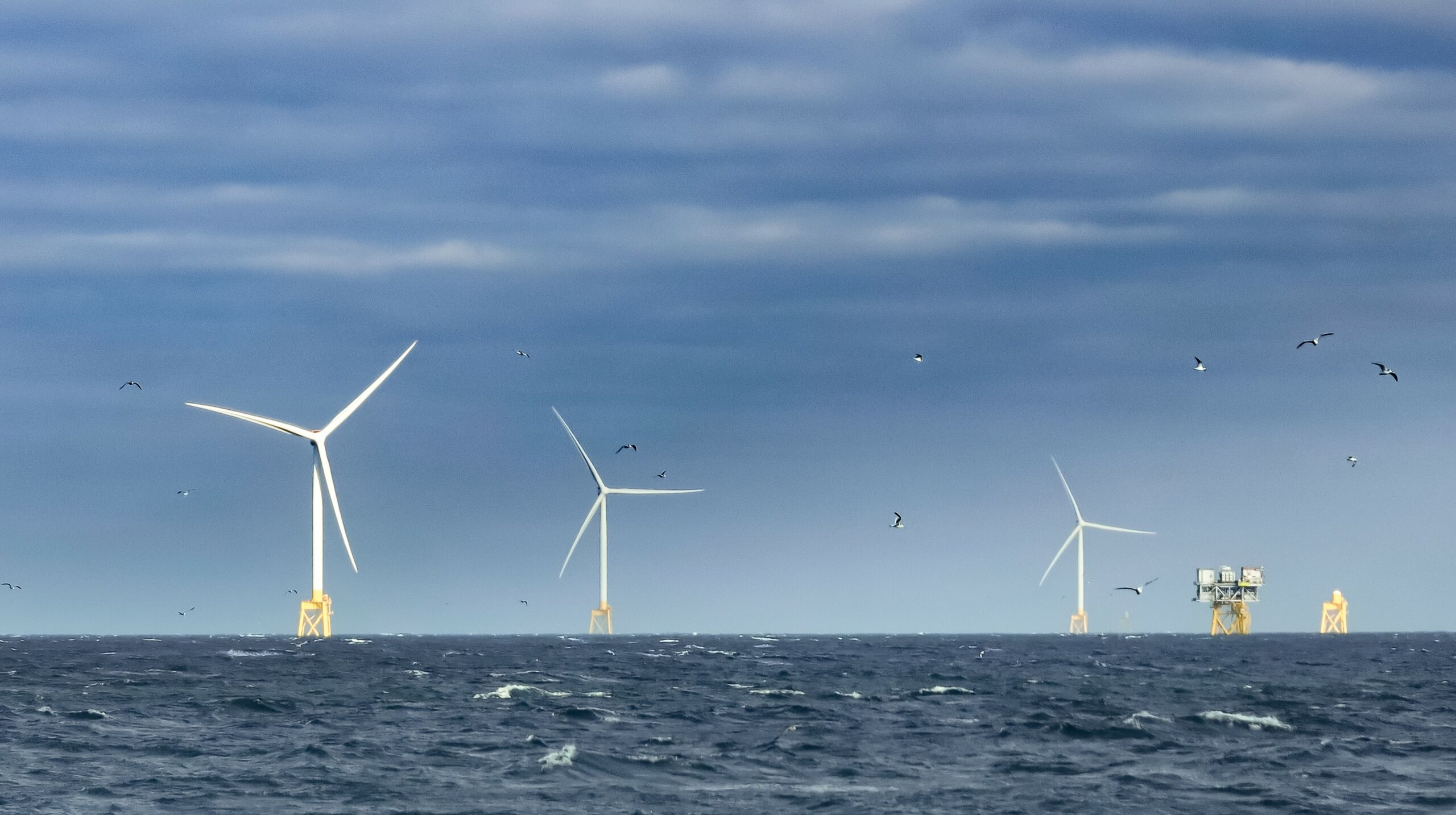 EDF Renewables UK, ESB reach first power milestone for Scottish ...