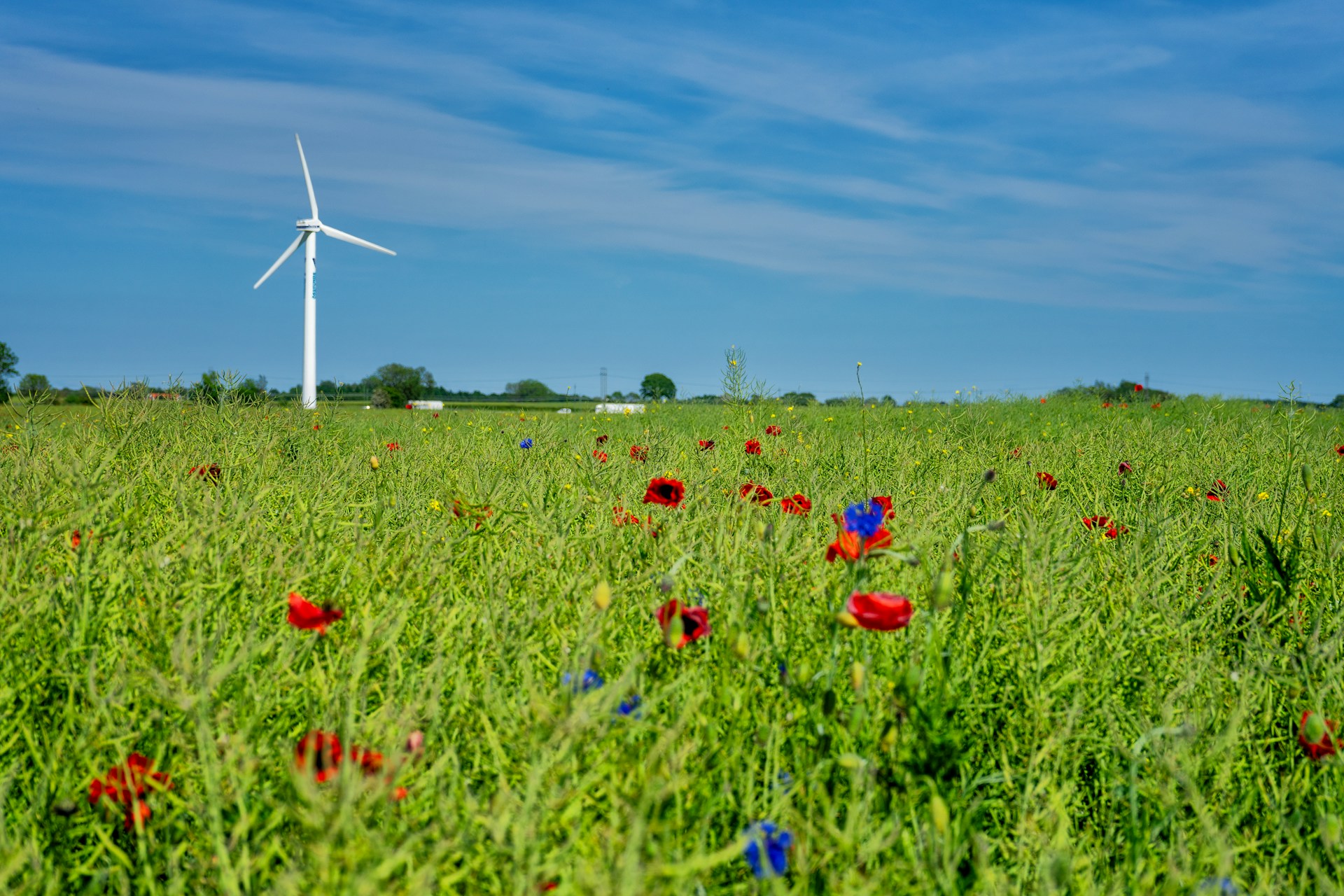 Downing Renewables & Infrastructure Trust completes sale of Swedish ...