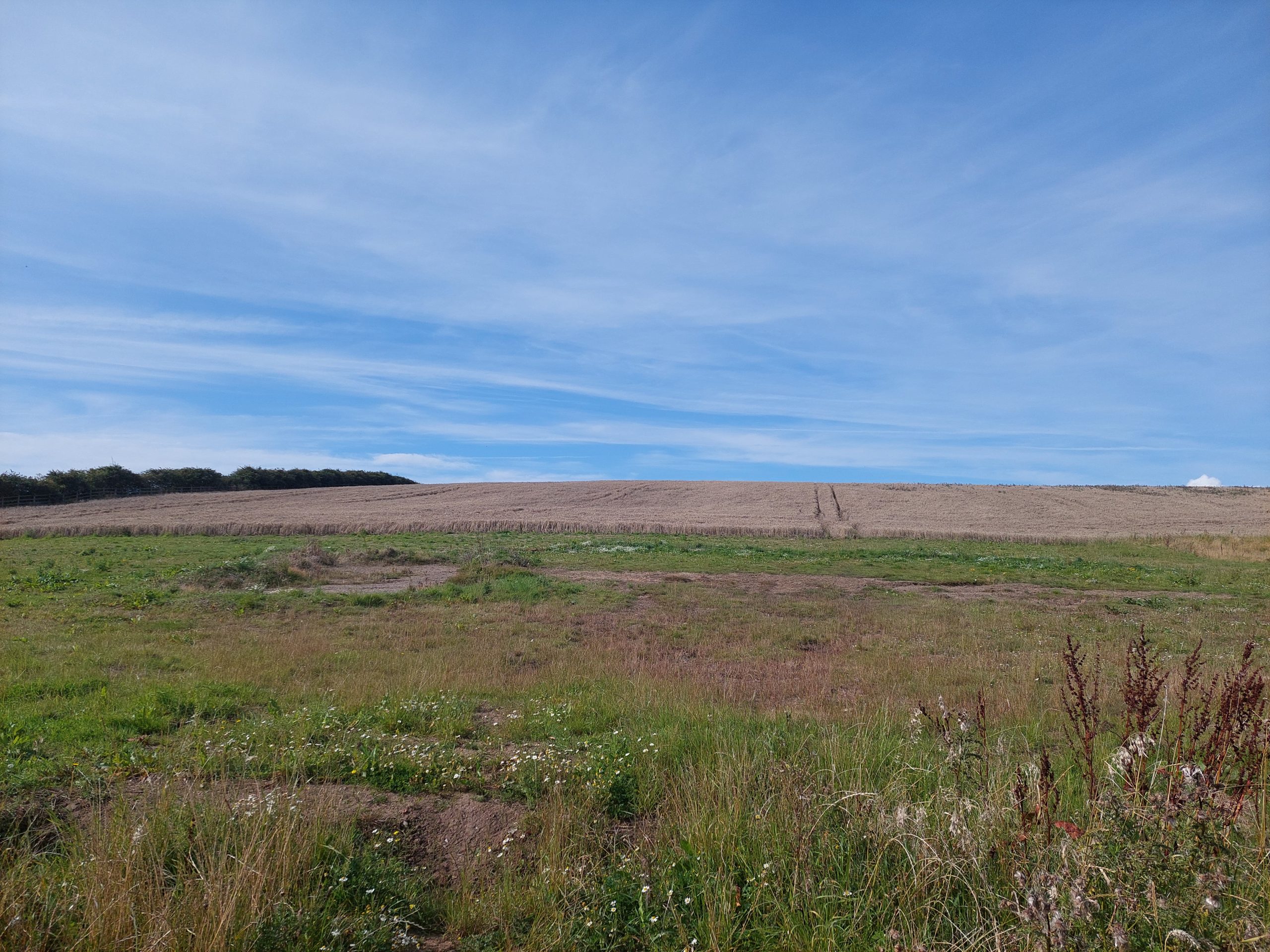 Enviromena awarded planning approval for Fox Cover Solar Farm | Clean ...