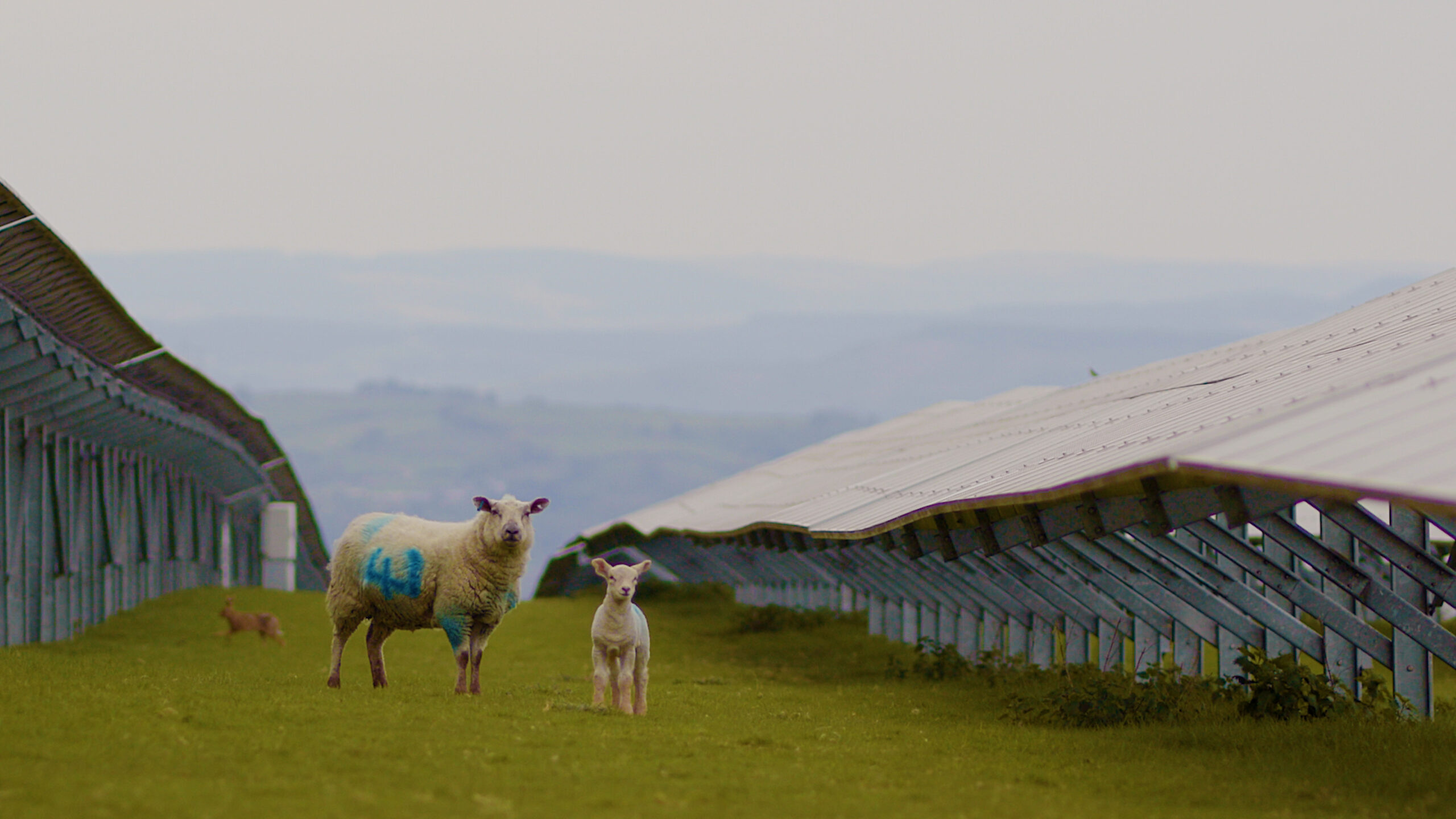 Octopus Energy Generation unveils new clean energy fund | Clean Energy ...