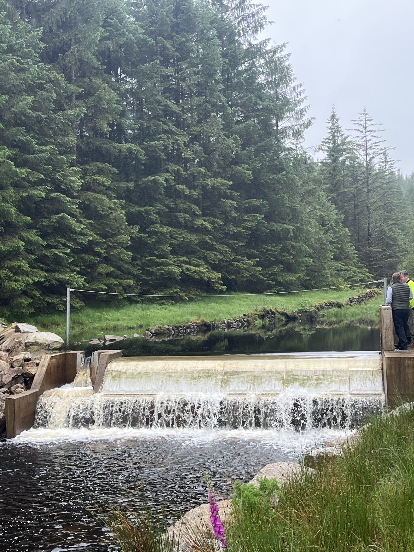 Dalmore acquires seven-project hydro portfolio in Scotland | Clean ...