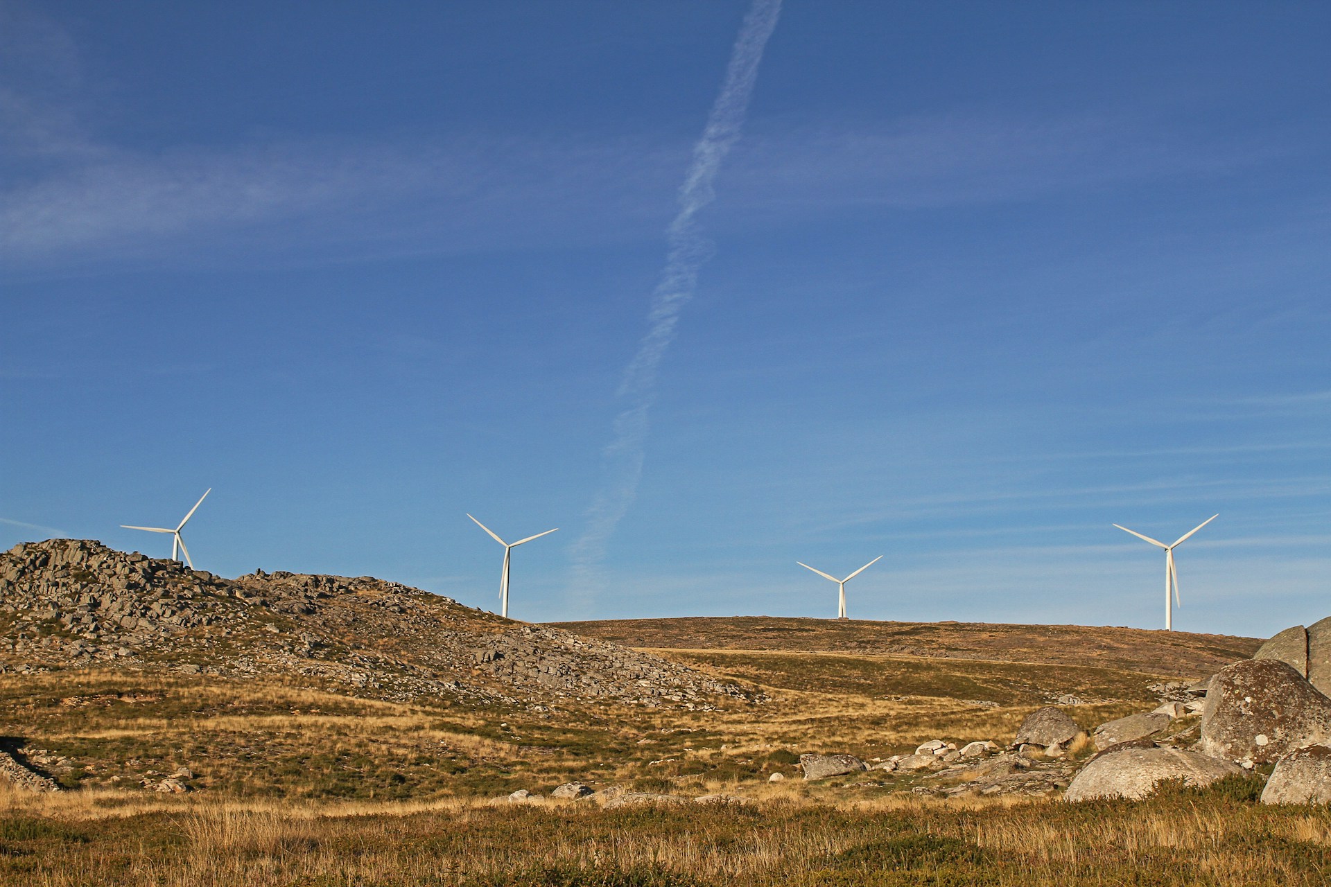 Foresight Group, Arise energise Swedish wind farm | Clean Energy Pipeline